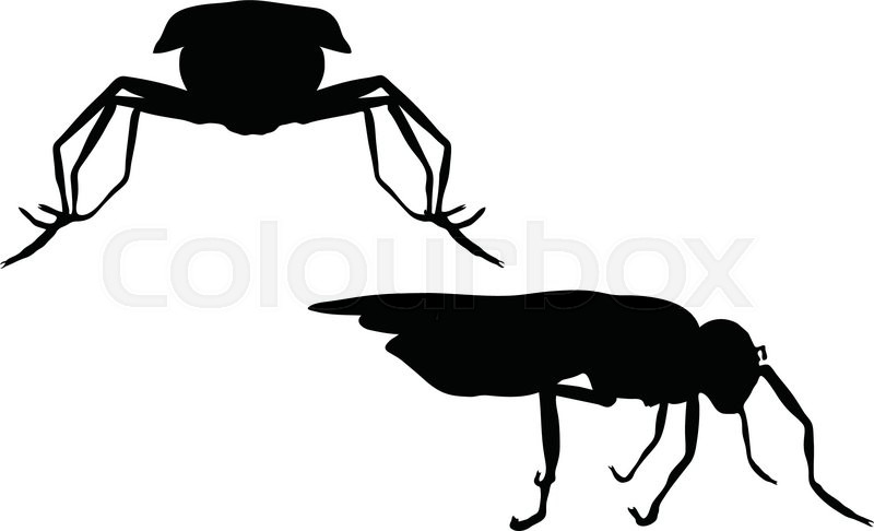 Vector Image - bug fly silhouette ... | Stock vector | Colourbox