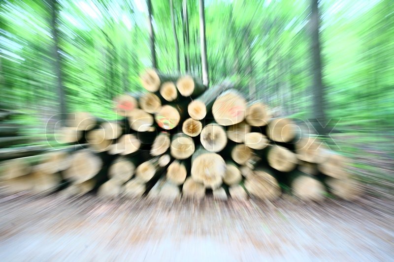 Holz in einer dänischen Wald Stapel | Stock Bild | Colourbox