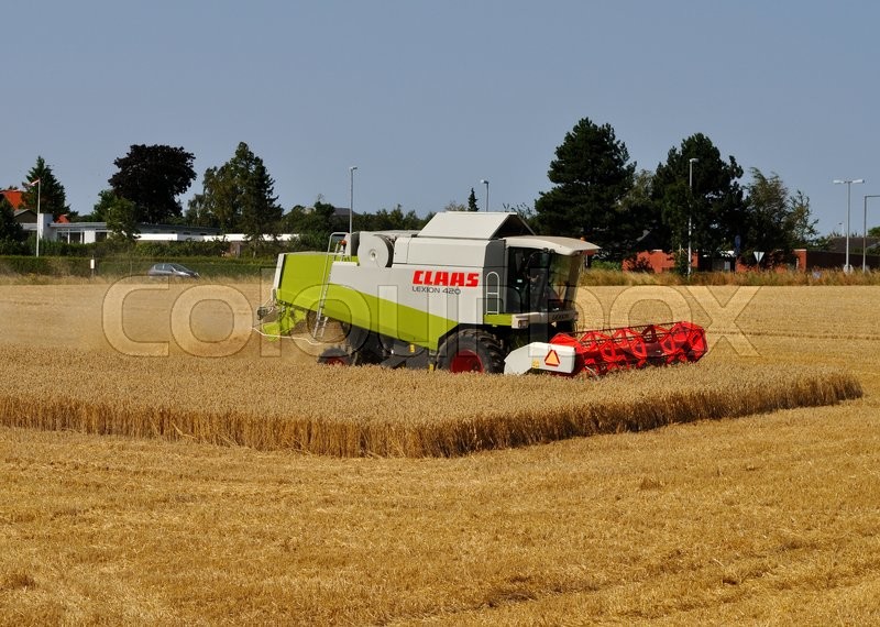 Claas, lexion, 420 | Stock Photo | Colourbox