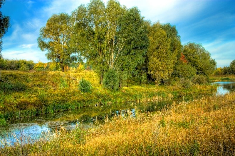 Countryside landscape with little lake ... | Stock image | Colourbox