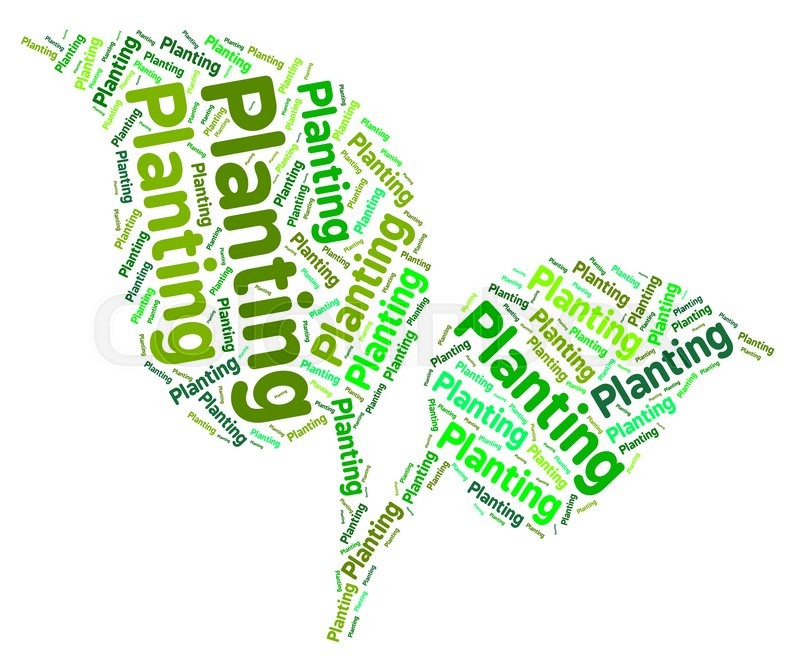 Planting Word Representing Cultivates ... | Stock image | Colourbox