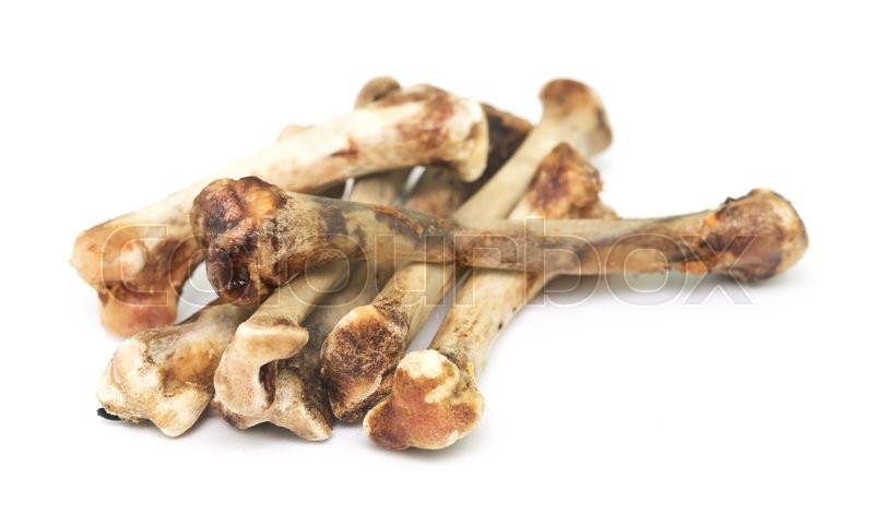Pile of chicken bones isolated on white | Stock image | Colourbox
