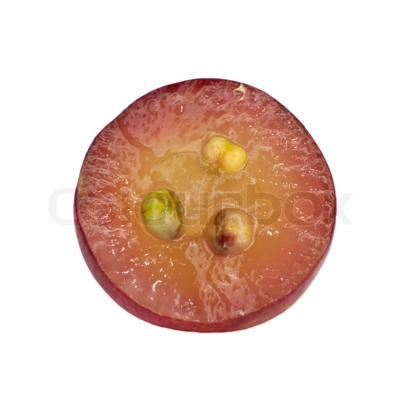 Translucent slice of red grape fruit, ... | Stock Photo | Colourbox