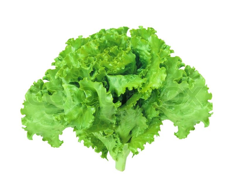 Frischem Salat isoliert auf weißem ... | Stock Bild | Colourbox