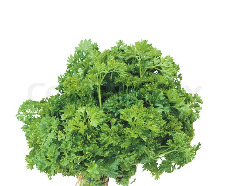 Frisk persille isoleret på hvid ... | Stock foto | Colourbox