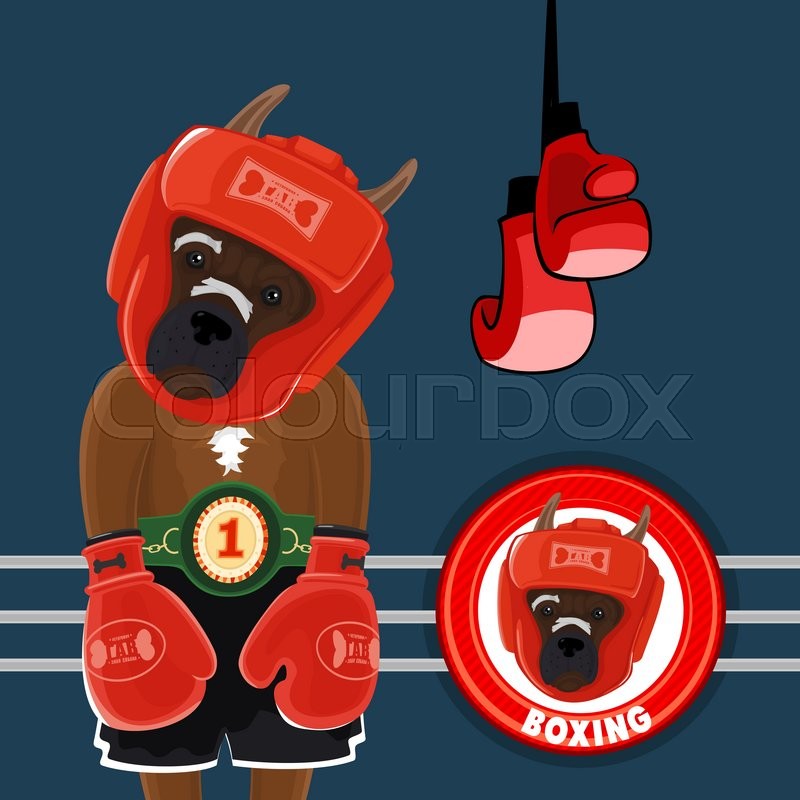 Vector Set Symbols Boxing eps 8 file ... | Stock vector | Colourbox
