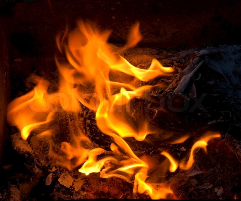Closeu up view of open fire great as a ... | Stock image | Colourbox