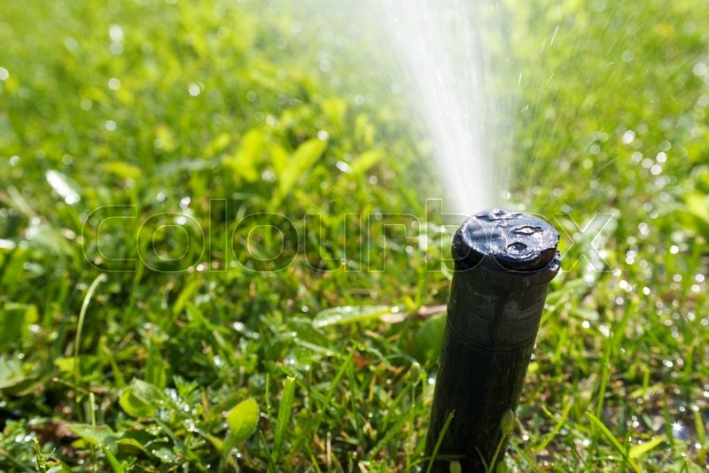 Closeup of a sprinkler watering a ... | Stock image | Colourbox