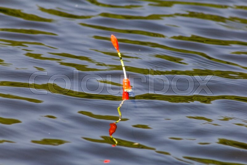 Fishing float floating in the water | Stock Photo | Colourbox