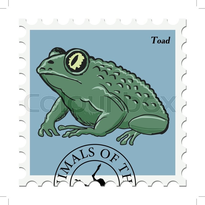 Vector, post stamp with toad | Stock vector | Colourbox