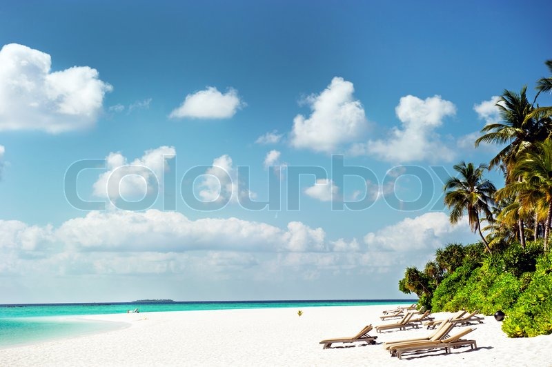 Tropische weiße Sandstrand mit Palmen | Stock Bild | Colourbox