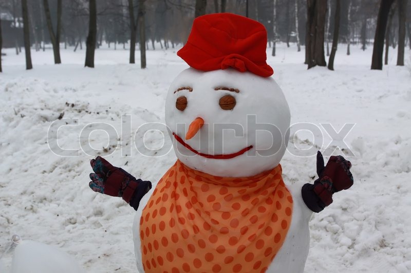 De sjove snemand | Stock foto | Colourbox