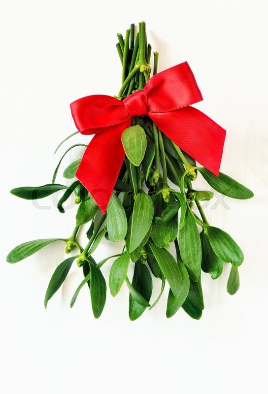 Real Mistletoe
