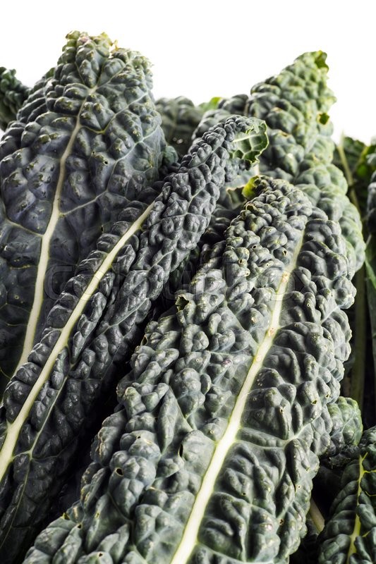 Black Kale, Italian Kale, Black ... | Stock image | Colourbox