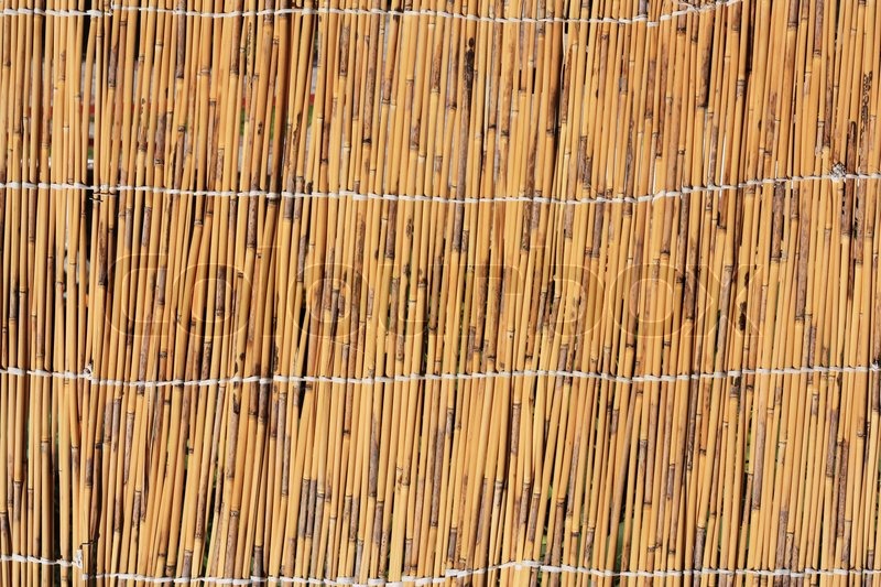 Cane texture | Stock image | Colourbox