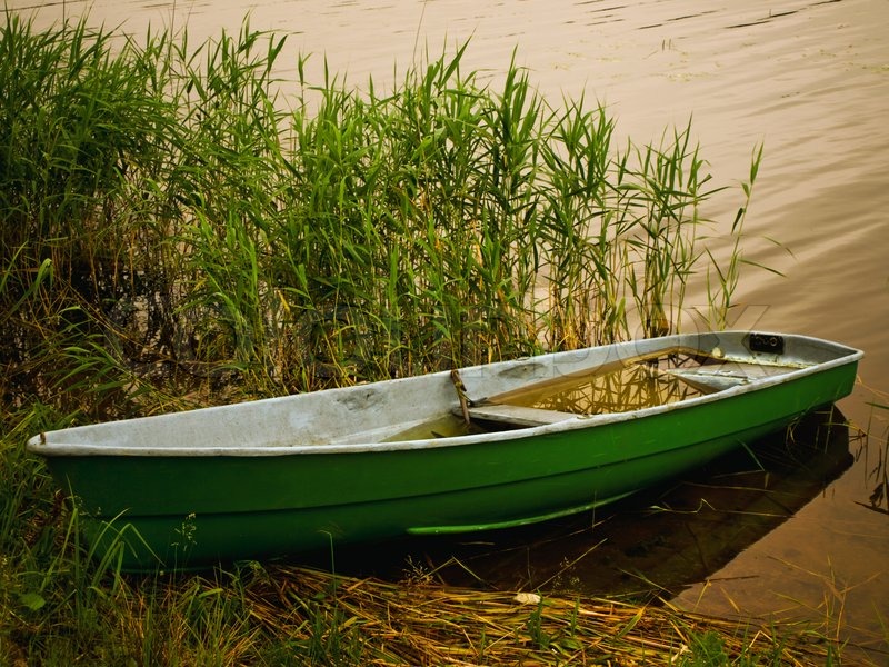 Single rowing boat at the lake shore | Stock Photo | Colourbox
