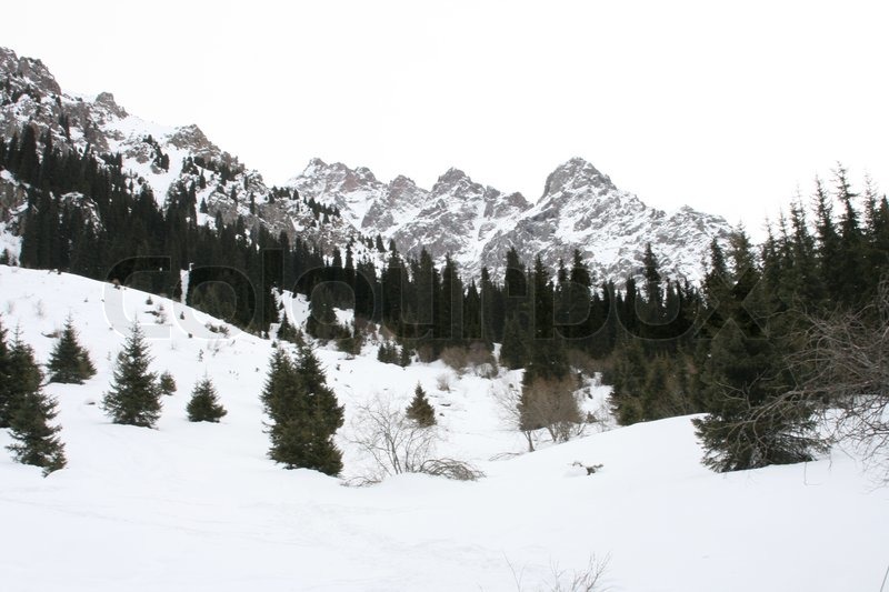 Winter mountain landscape Central Asia ... | Stock Photo | Colourbox