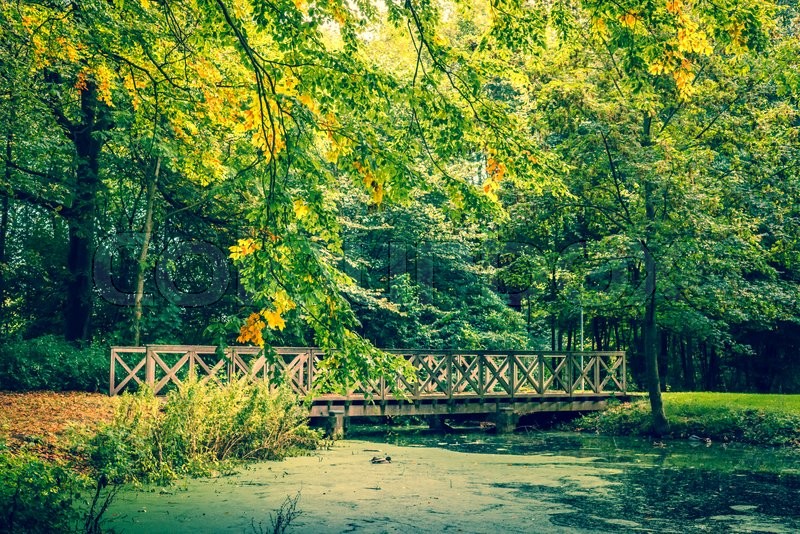Bro i flot idyllisk natur | Stock foto | Colourbox