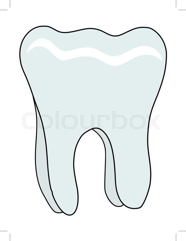 Vector illustration of human tooth | Stock vector | Colourbox