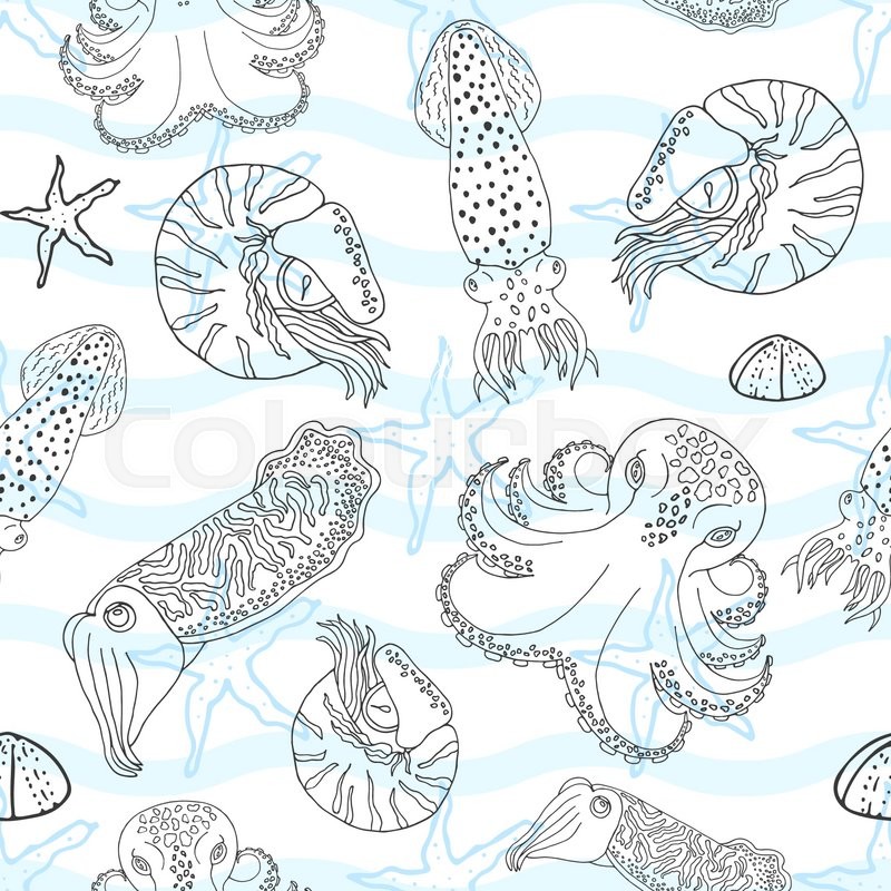 Hand drawn cephalopods seamless ... | Stock vector | Colourbox