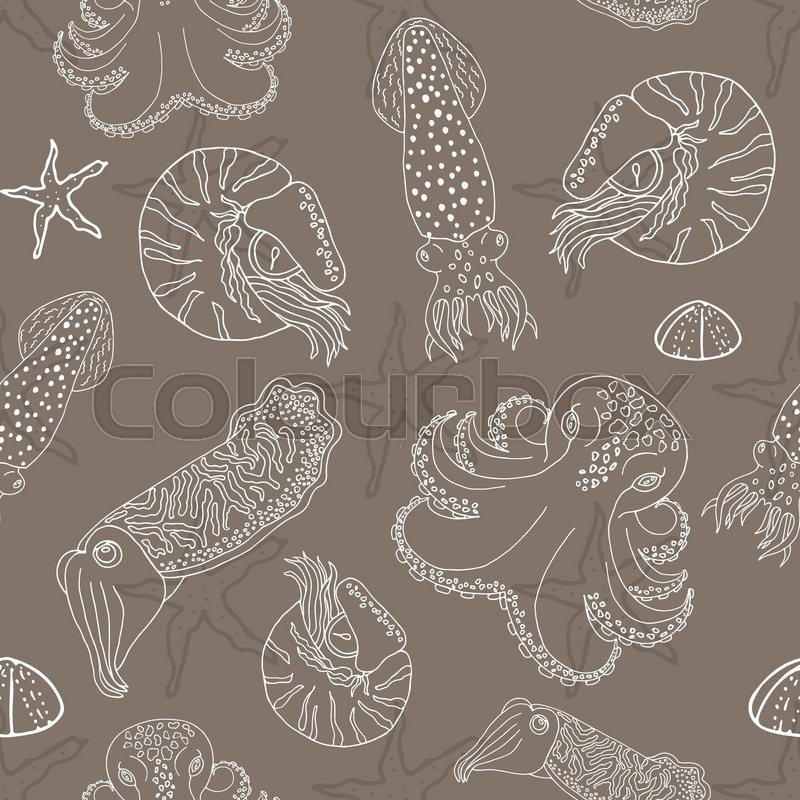 Hand drawn cephalopods seamless ... | Stock vector | Colourbox