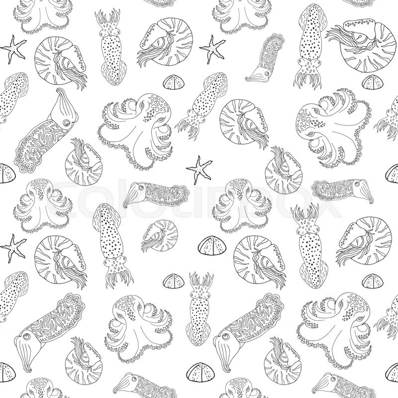 Hand drawn cephalopods seamless ... | Stock vector | Colourbox