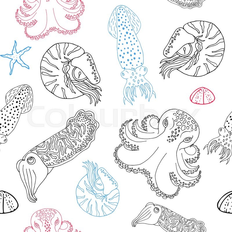 Hand drawn cephalopods seamless ... | Stock vector | Colourbox