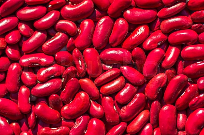 Dry red bean seeds ready for planting ... | Stock Photo | Colourbox