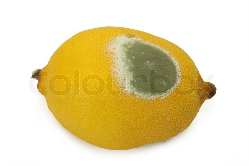 Moldy faulen Lemon Obst auf reines Weiß ... | Stock Bild | Colourbox