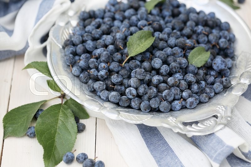 Astringent healing fruit Prunus spinosa ... | Stock image | Colourbox