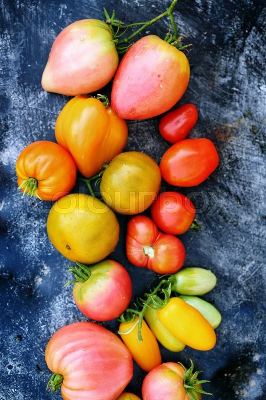 Various shapes and colors of tomatoes ... | Stock image | Colourbox