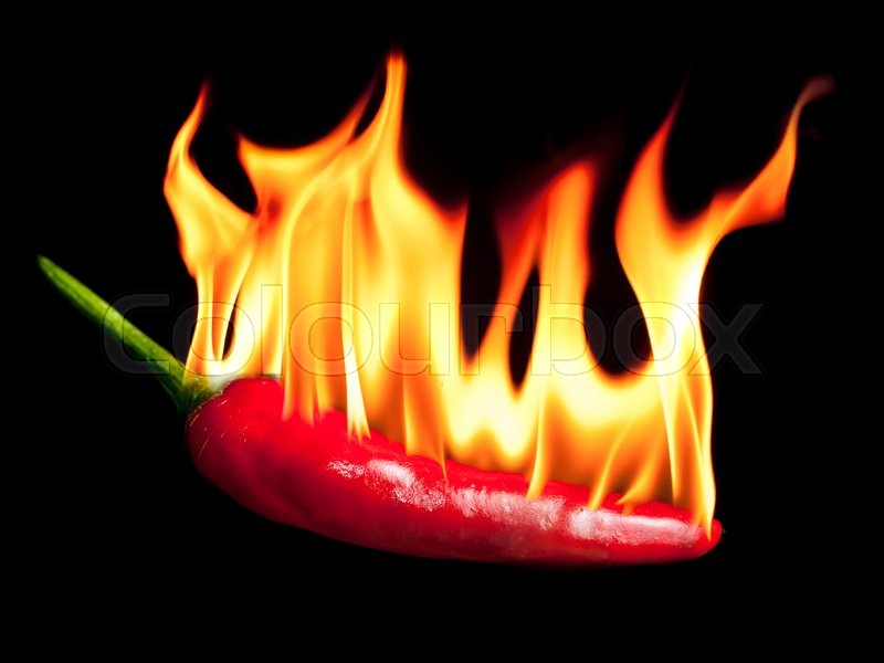 Red chili pepper with fire | Stock image | Colourbox