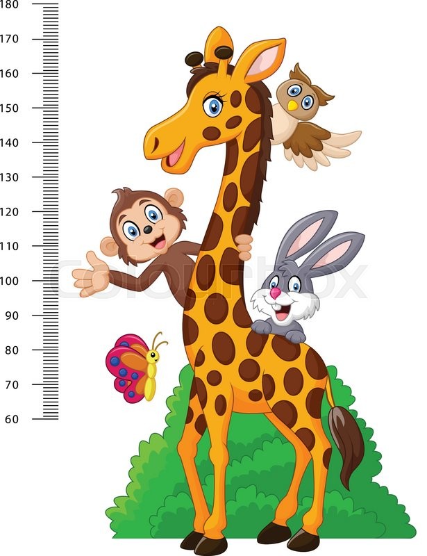 Vector illustration of Kids height ... | Stock vector | Colourbox
