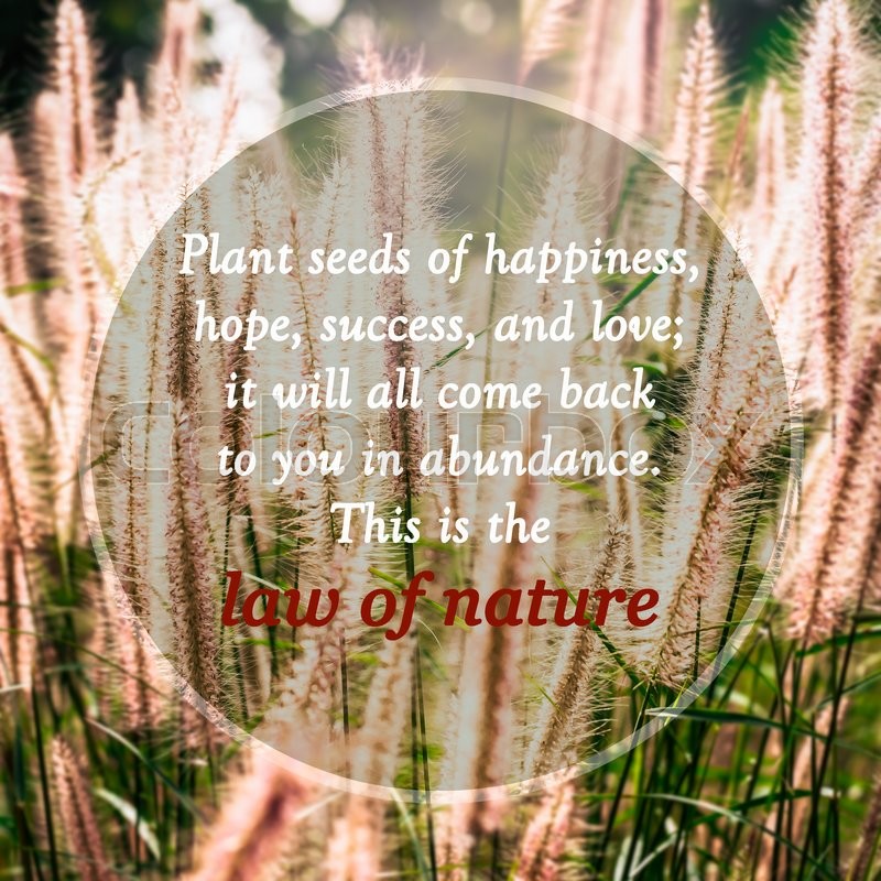Grass Quotes And Sayings