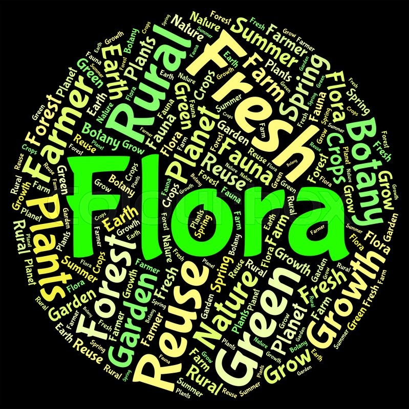 Flora Word Indicating Plant Life And ... | Stock image | Colourbox