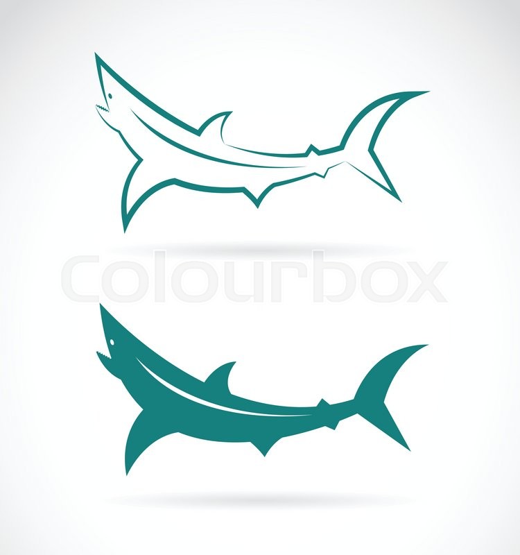 Vector images of sharks design on a ... | Stock vector | Colourbox