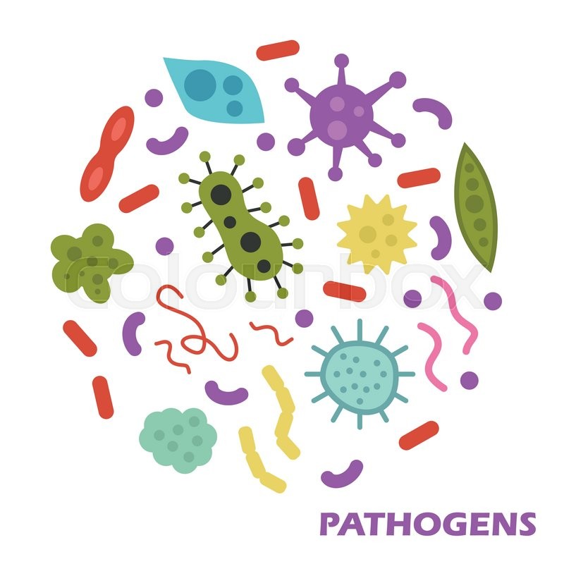Pathogens flat design, vector elements | Stock vector | Colourbox