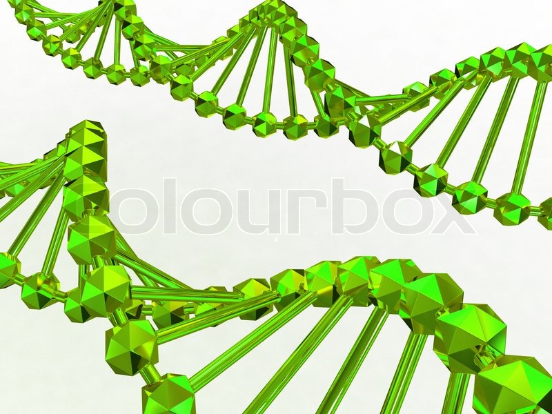 Gene in DNA. 3d | Stock image | Colourbox