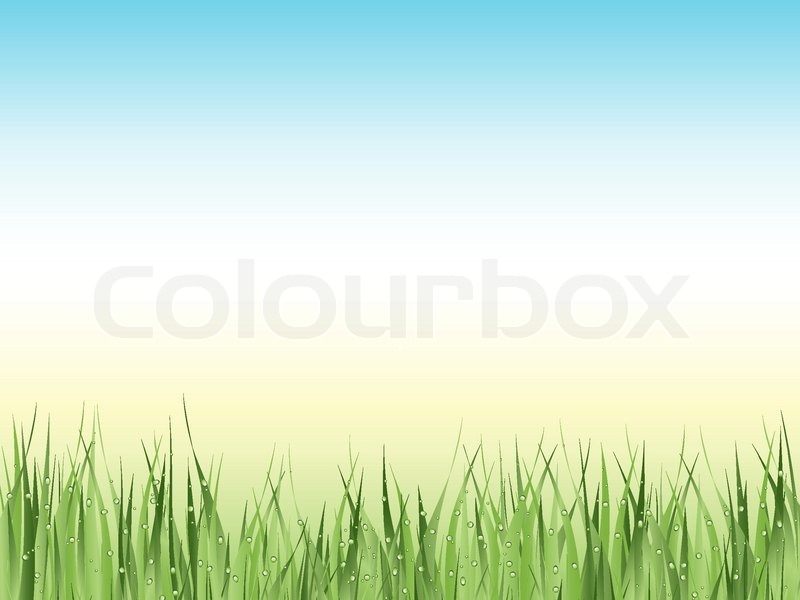 Illustration of green wet grass ... | Stock vector | Colourbox
