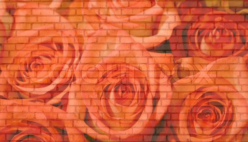 Bricks wall roses background. texture ... | Stock Photo | Colourbox
