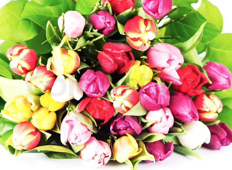 Bouquet of assorted tulips | Stock image | Colourbox