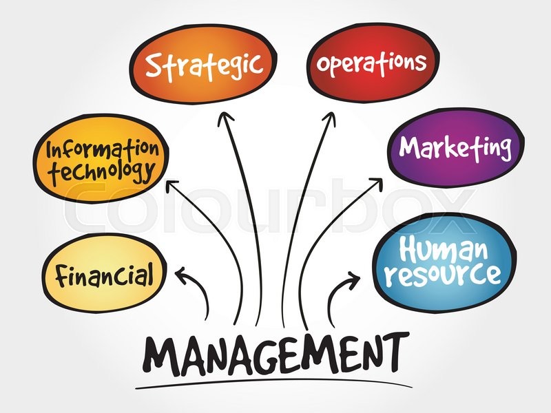 Management mind map business strategy ... | Stock vector | Colourbox