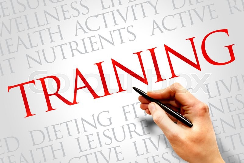TRAINING word cloud, business concept | Stock image | Colourbox