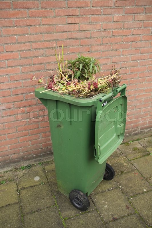 Full green container with garden waste ... | Stock image | Colourbox