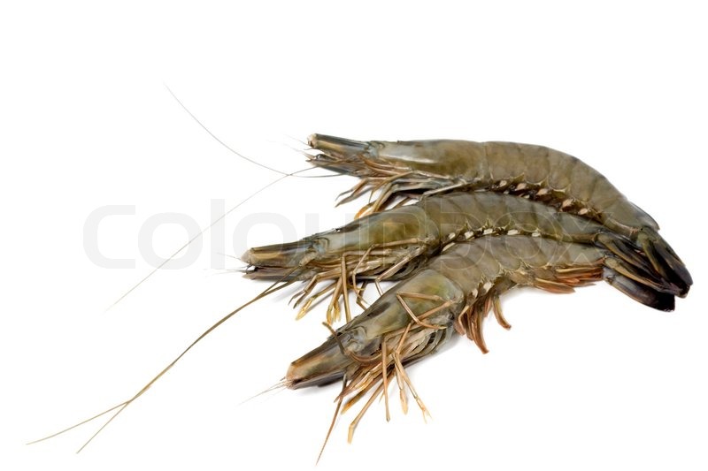 Rejer store rå isoleret på hvid ... | Stock foto | Colourbox