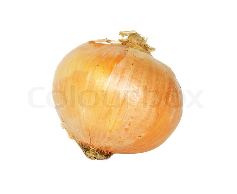 Single Onion