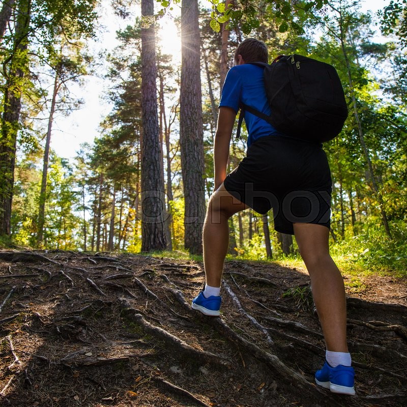 Hiking concept - back view of male ... | Stock image | Colourbox