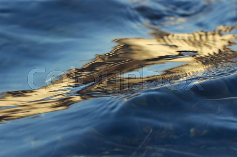 Water surface in the river and ... | Stock image | Colourbox
