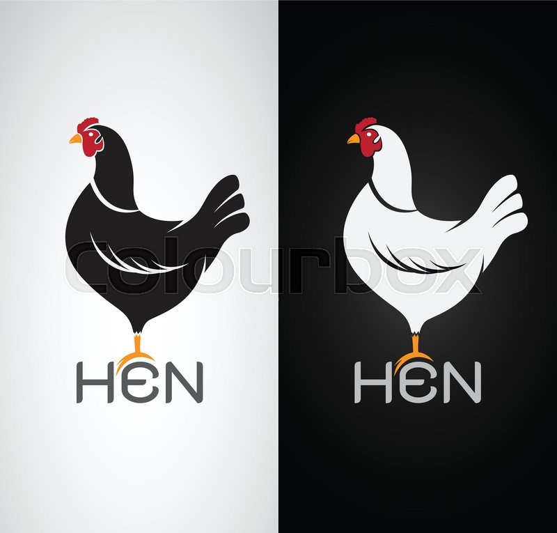 Vector image of an hen design on white ... | Stock vector | Colourbox