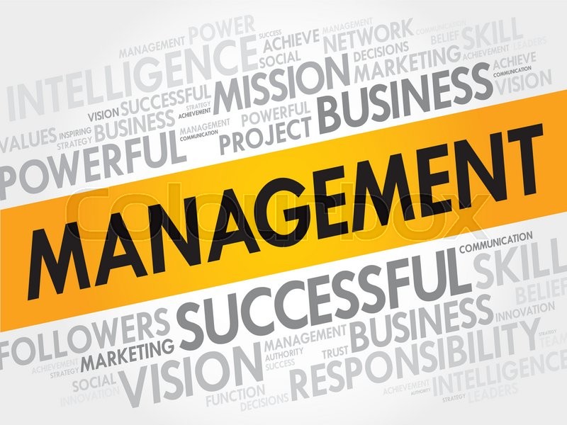 MANAGEMENT word cloud, business ... | Stock vector | Colourbox